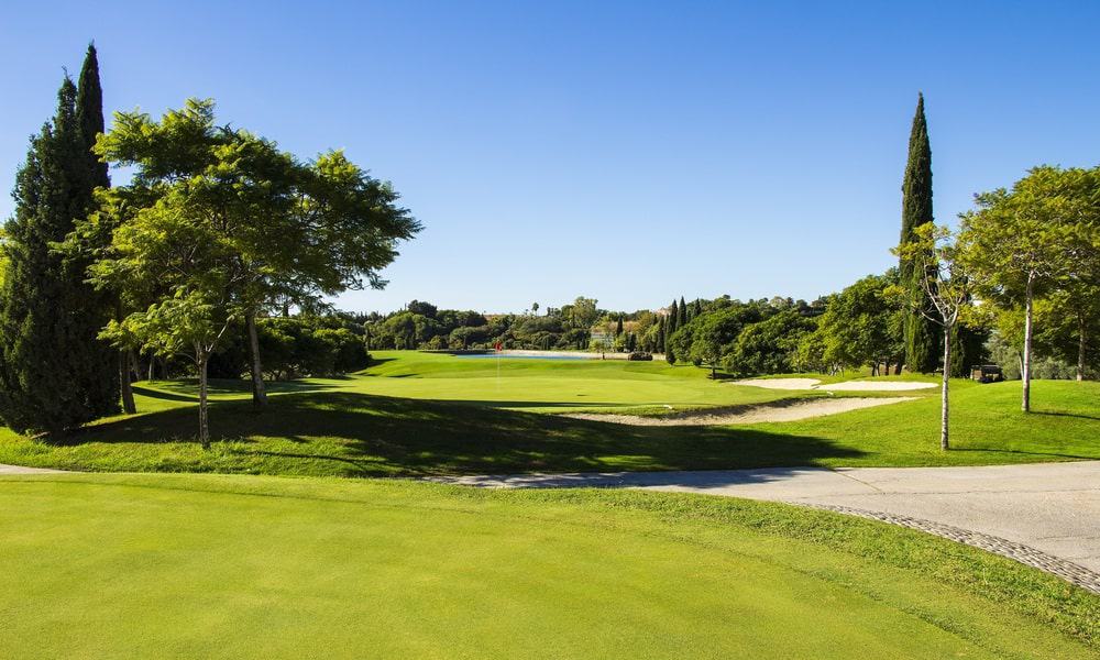 Los Flamingos Golf Course Guide | What to Expect on the Course